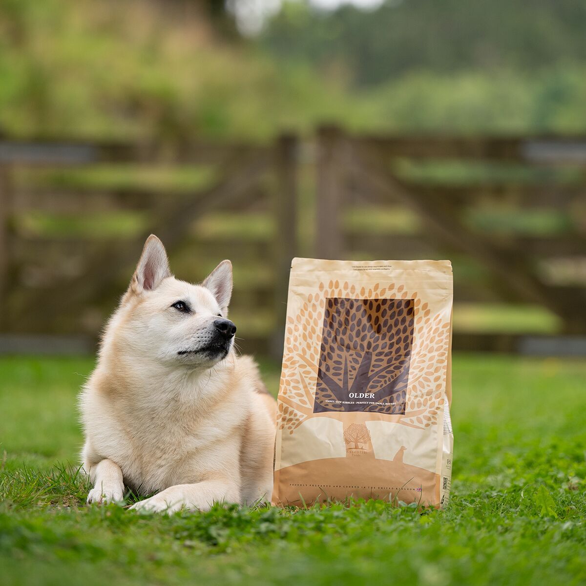 Kjøp Essential Foods Older Seniorfôr til Hund 10 kg på nett hos VetZoo